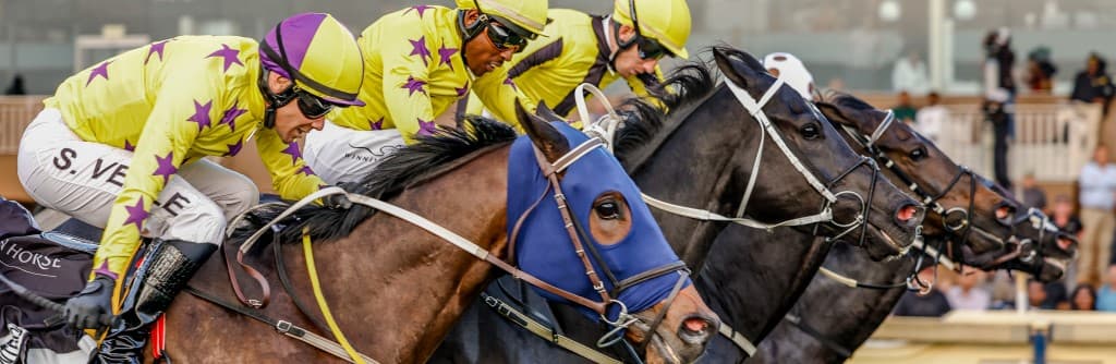 Gallop TV - Watch Live Horse Racing Free