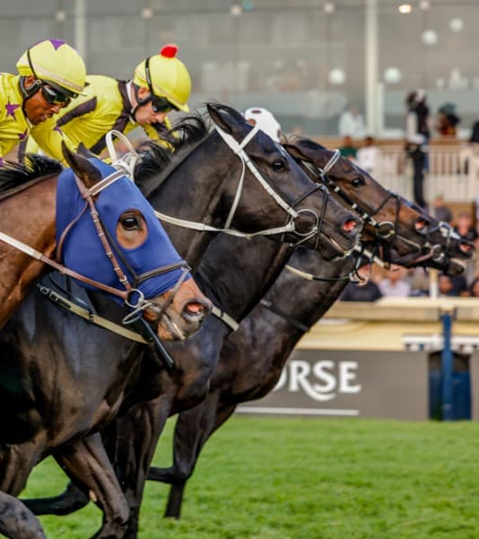 Gallop TV - Watch Live Horse Racing Free